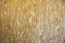 Rust Tree Bark Cork - The Fabric Market